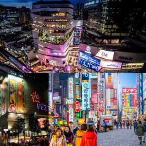 Home (demo page from Basic theme) | SUKI Life Department Store